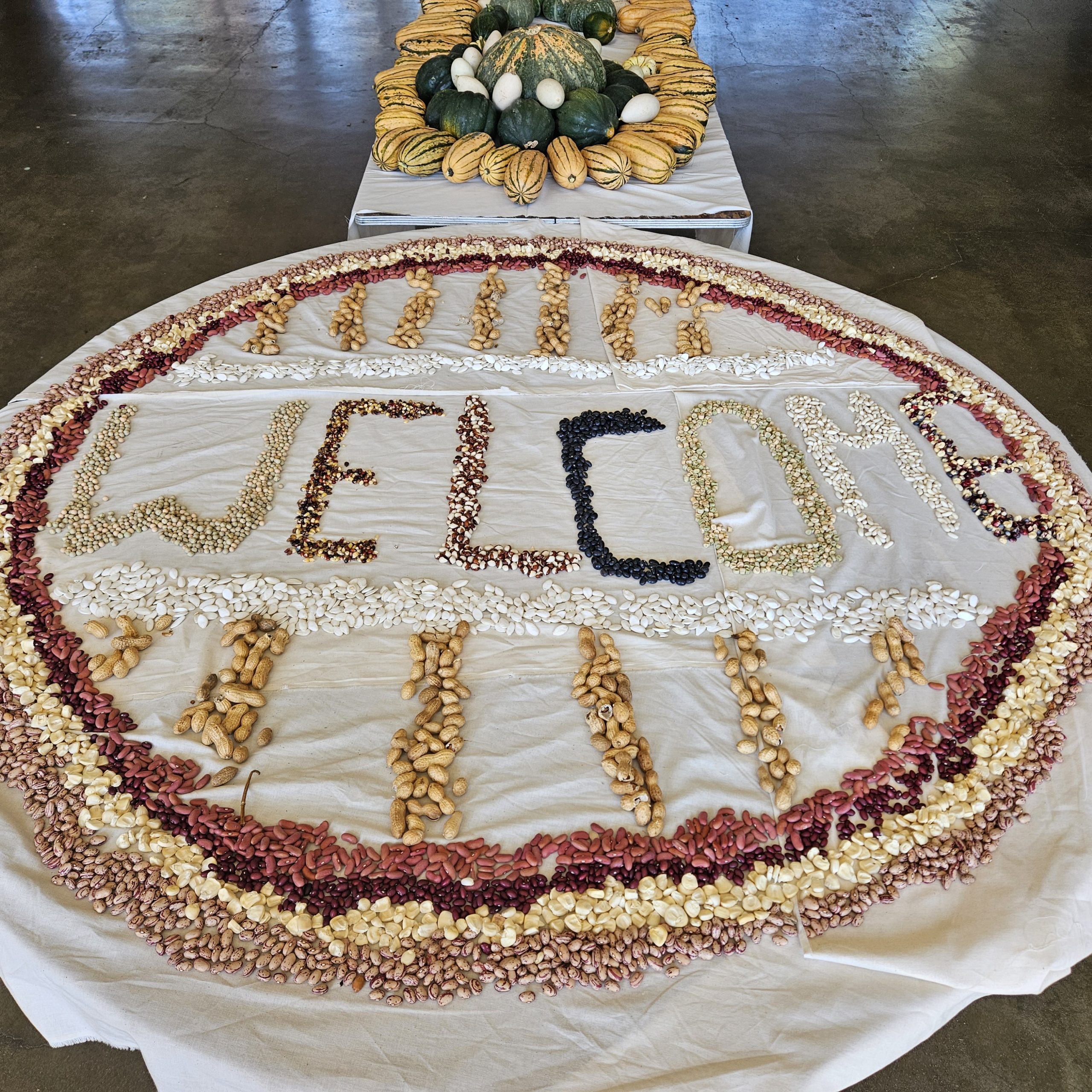 Blog | WorldBeat Center Official Website